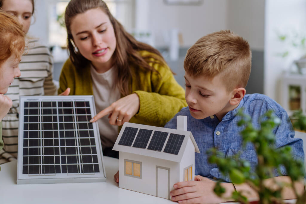 Registered Solar PV Investor (“RPVI”) – EcoSun Energy